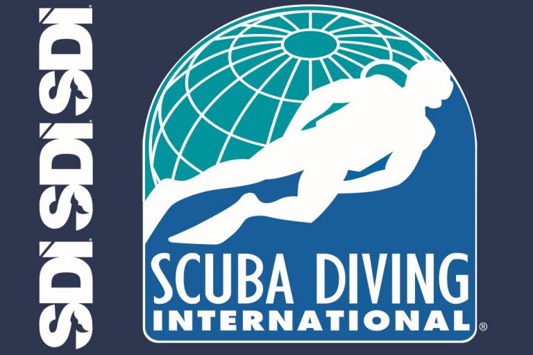 SDI Flag Large (1.2m X 1.8m) – TDI SDI Asia
