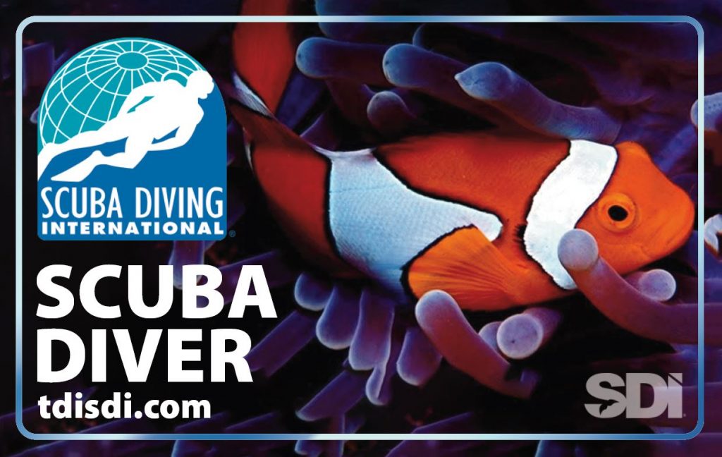 Learn to Scuba Dive – TDI SDI Asia